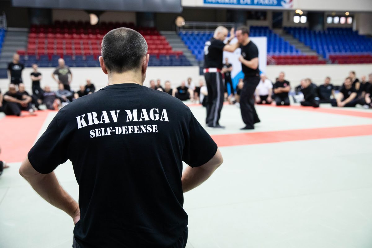 Stage Experts Krav Maga 2019 – Coubertin – Fédération Française de Karaté