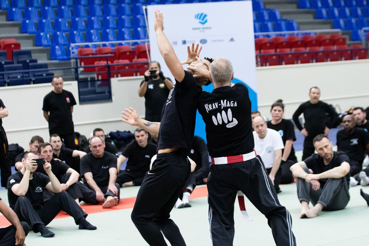 Stage Experts Krav Maga 2019 – Coubertin – Fédération Française de Karaté