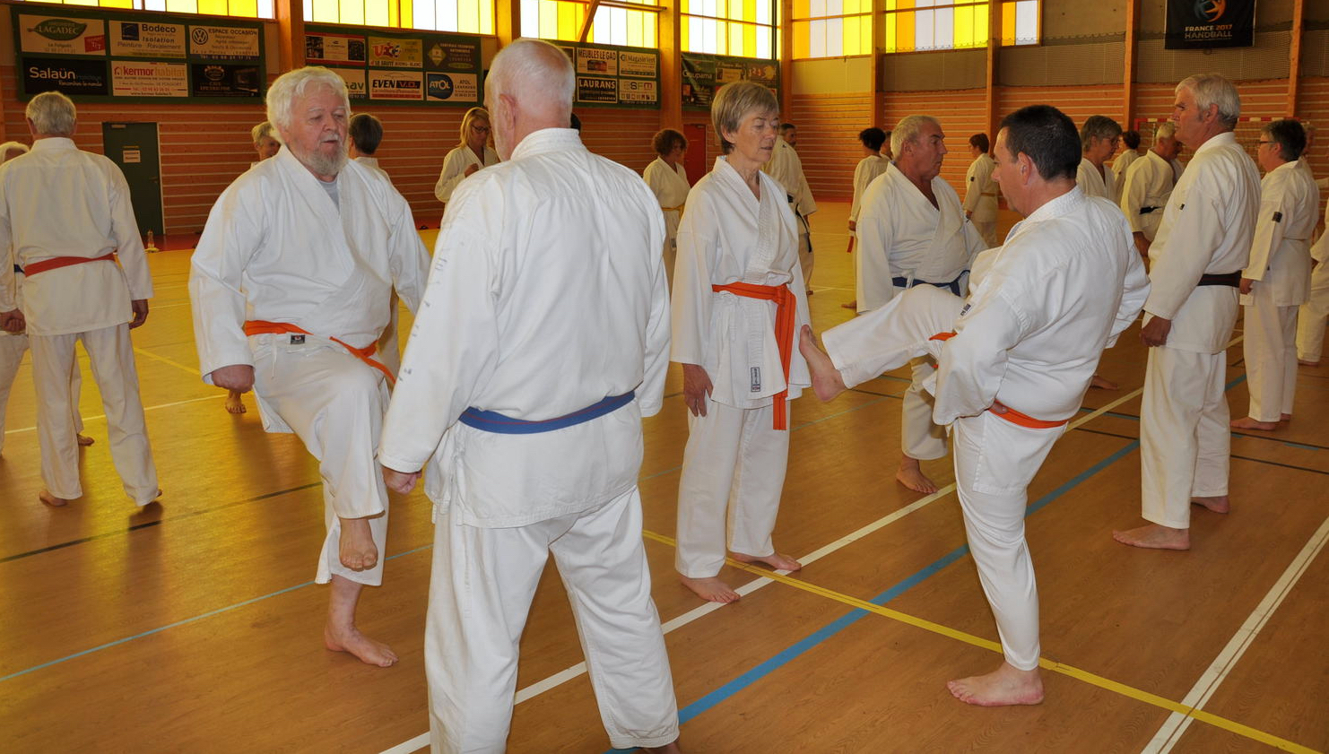 Karaté seniors, le nouvel âge d’or – Fédération Française de Karaté