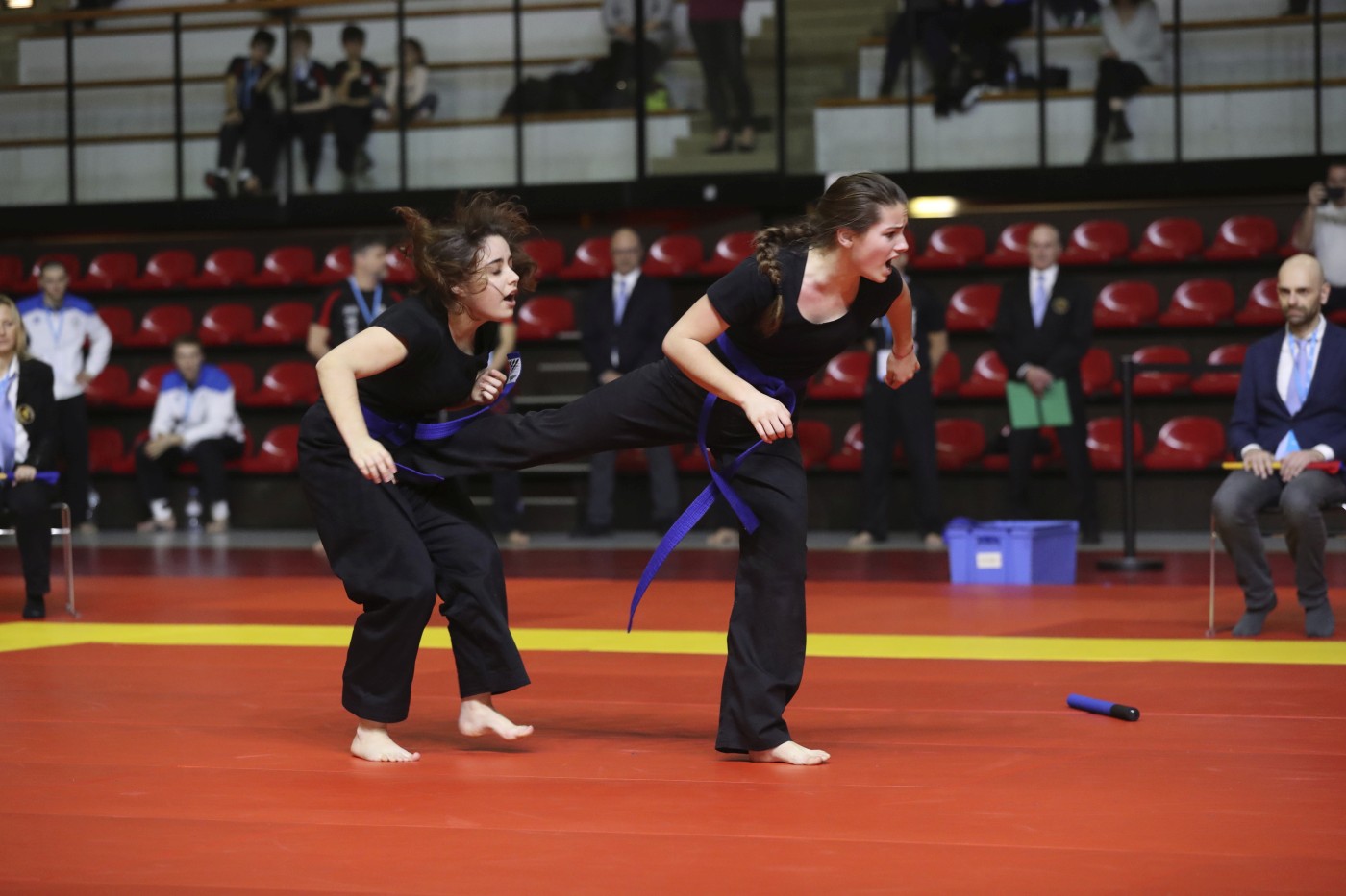 Championnat de France Technique Krav Maga 2020 – Fédération Française ...