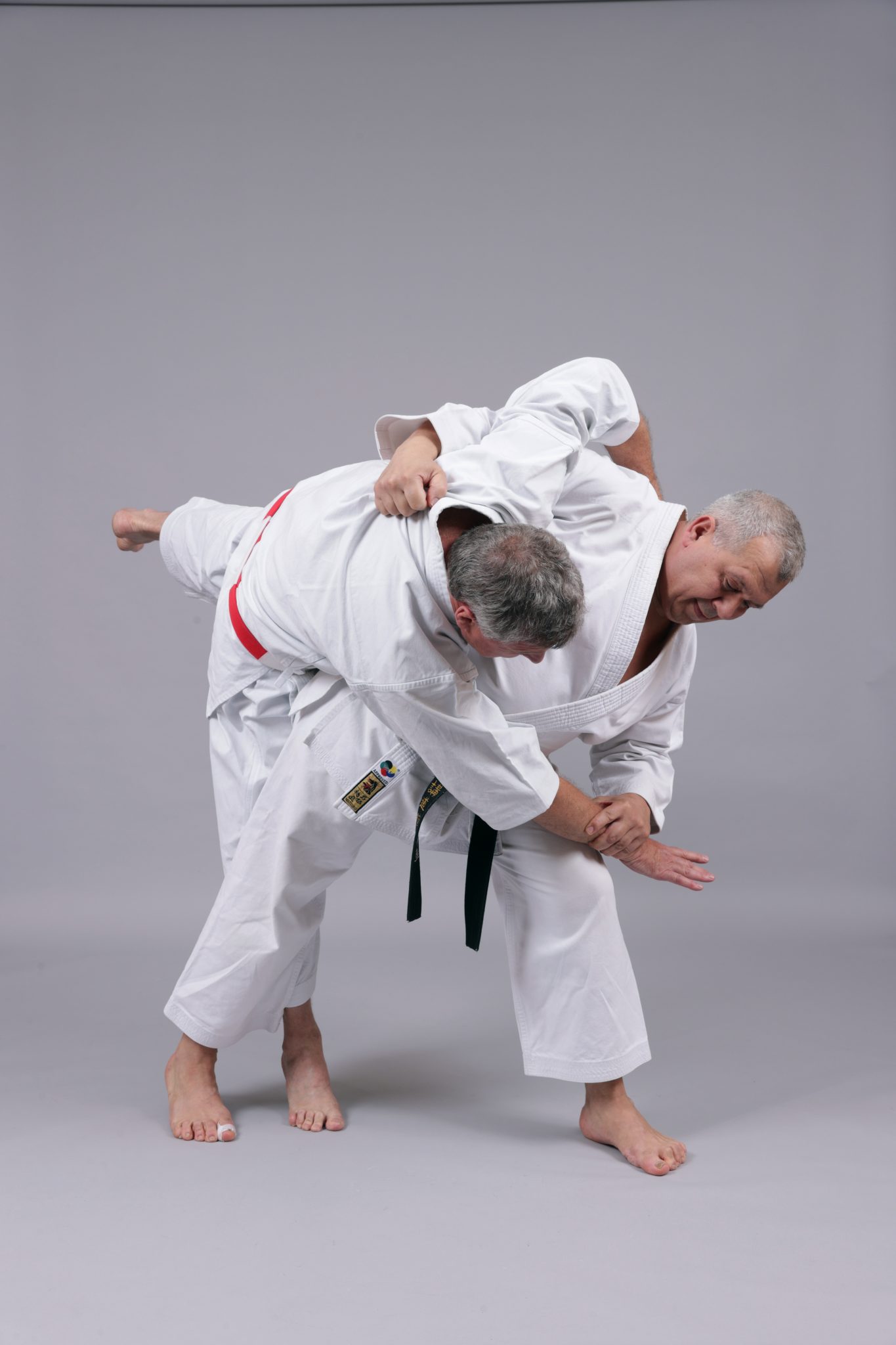 Taï Jitsu – Fédération Française de Karaté