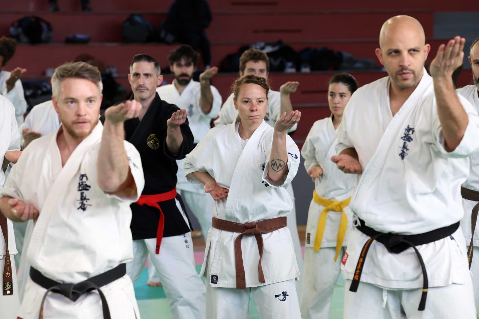 Le kyokushinkai insiste sur le mélange des styles – Fédération ...