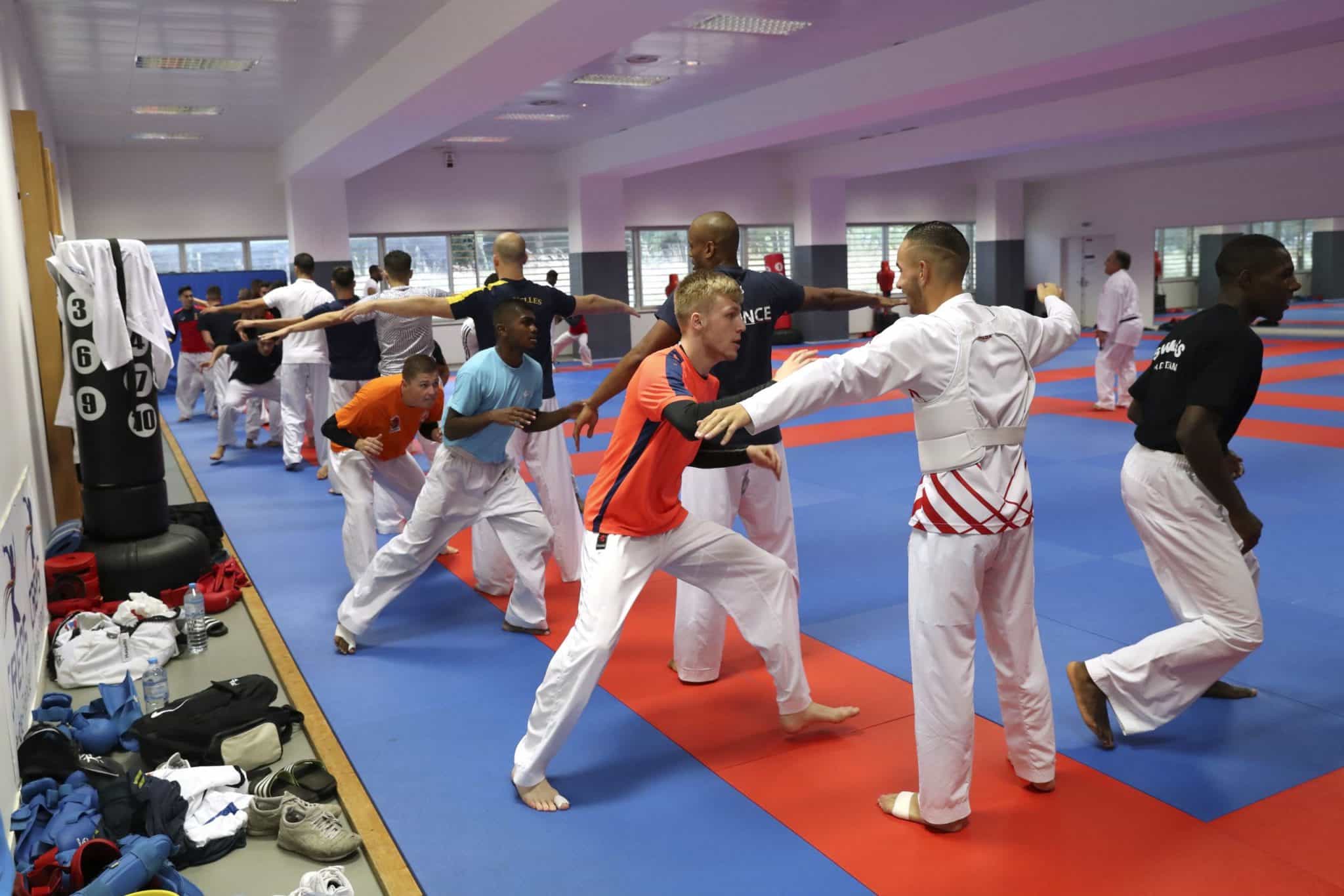 Stage International – CREPS Chatenay-Malabry – Fédération Française de ...