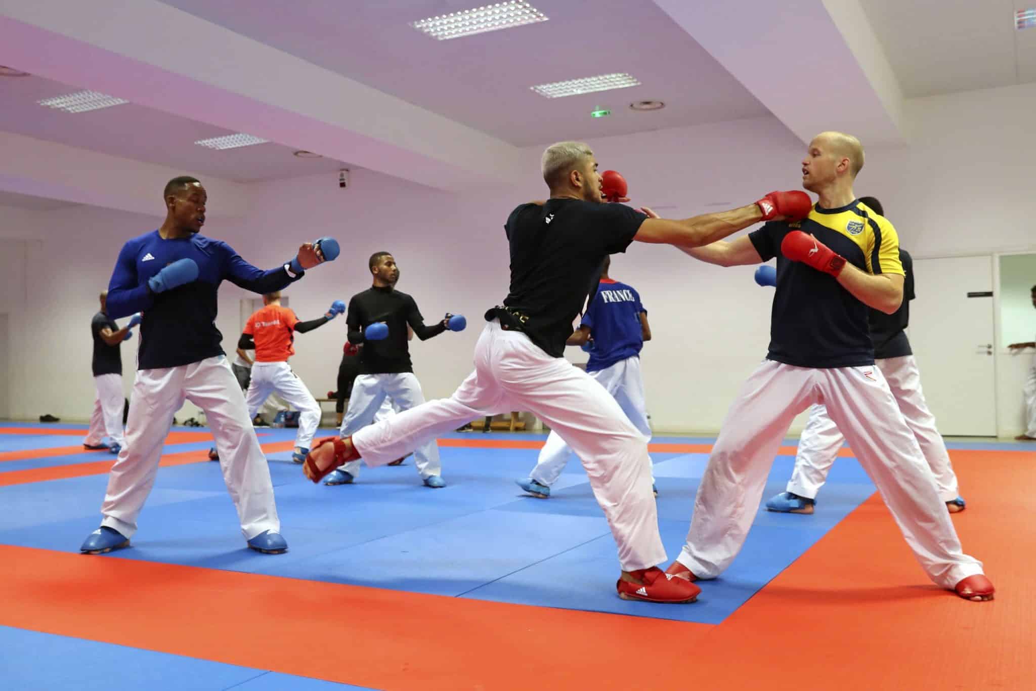 Stage International – CREPS Chatenay-Malabry – Fédération Française de ...