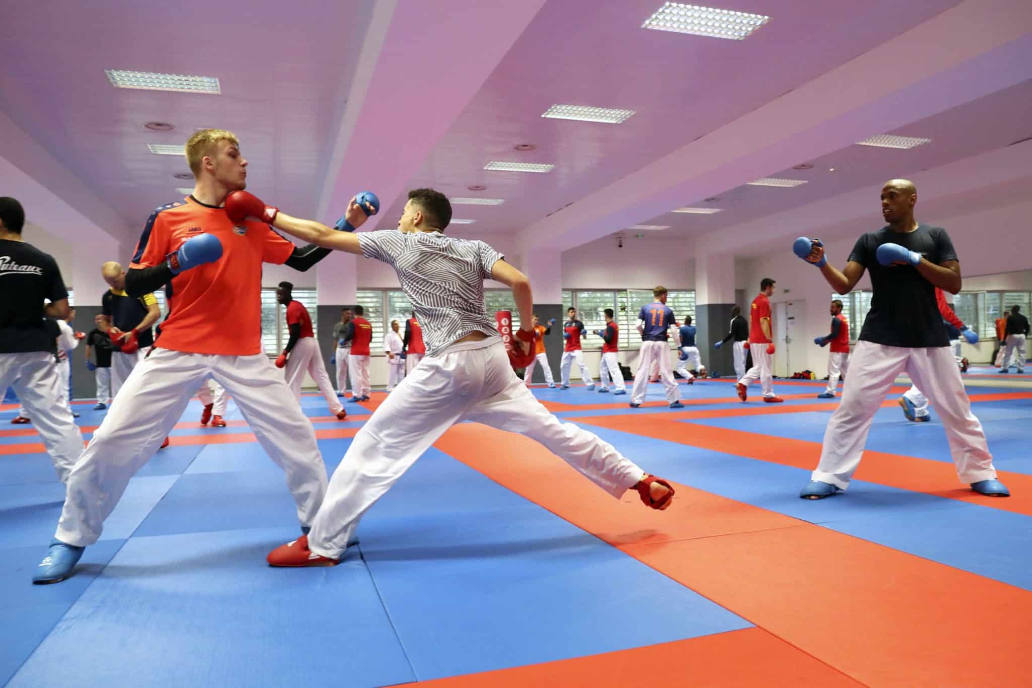 Stage International – CREPS Chatenay-Malabry – Fédération Française de ...