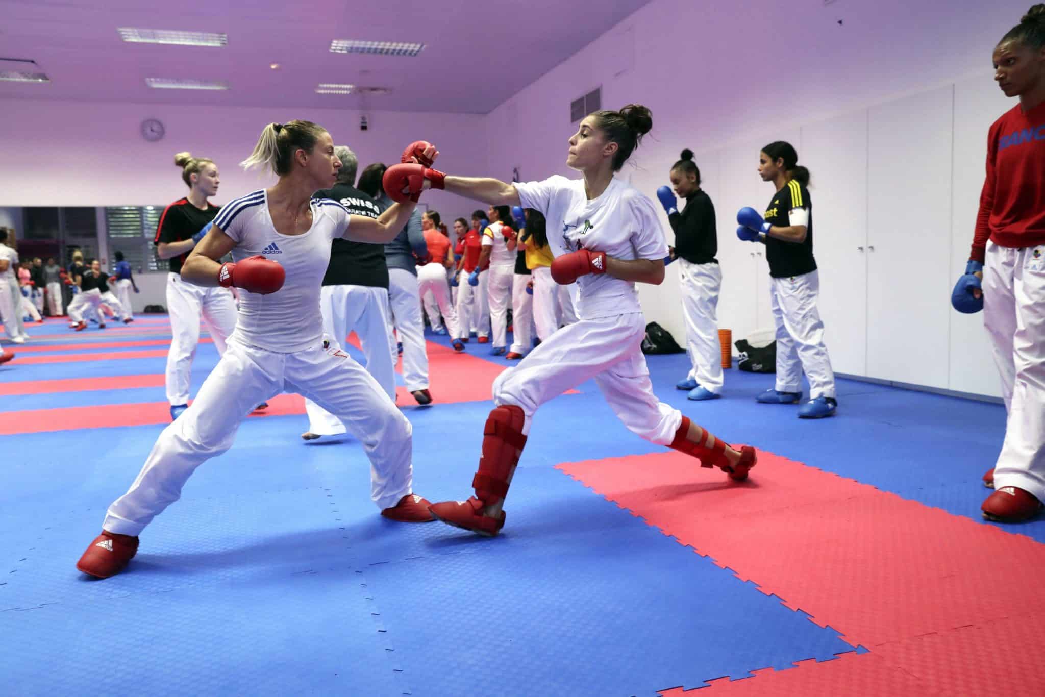 Stage International – CREPS Chatenay-Malabry – Fédération Française de ...