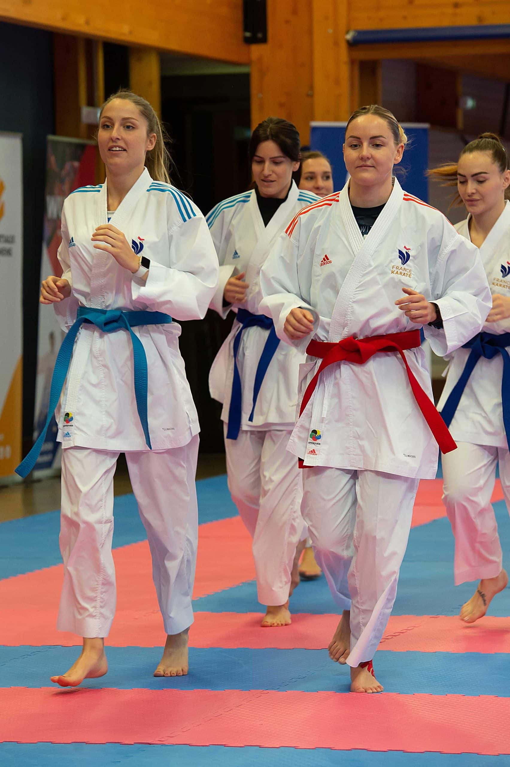 Stage de préparation aux Championnats d’Europe – Combat – Fédération ...
