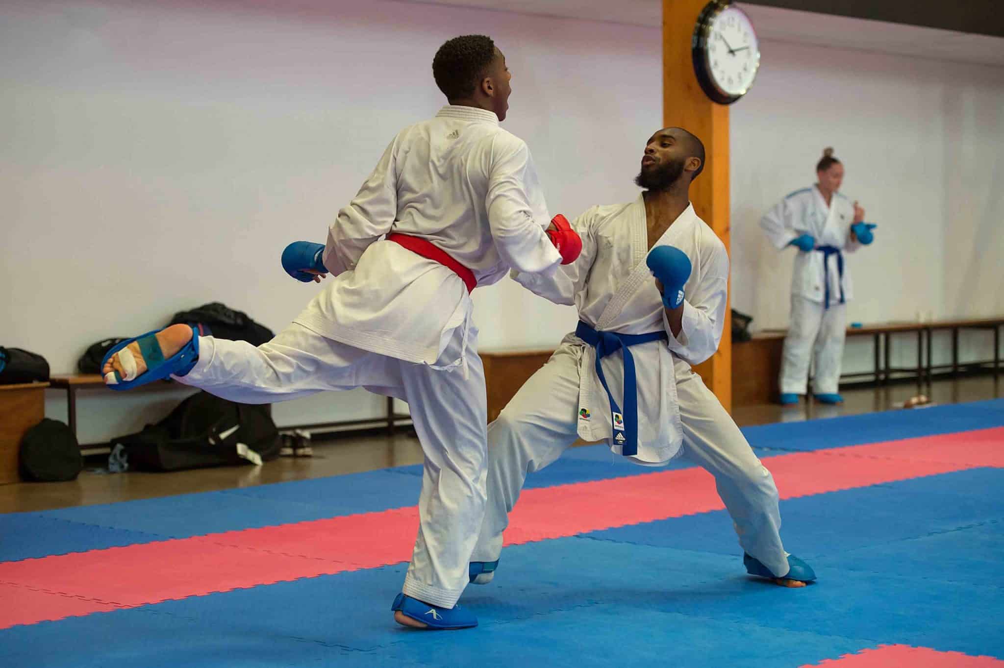 Stage Equipe de France – CNE – Fédération Française de Karaté