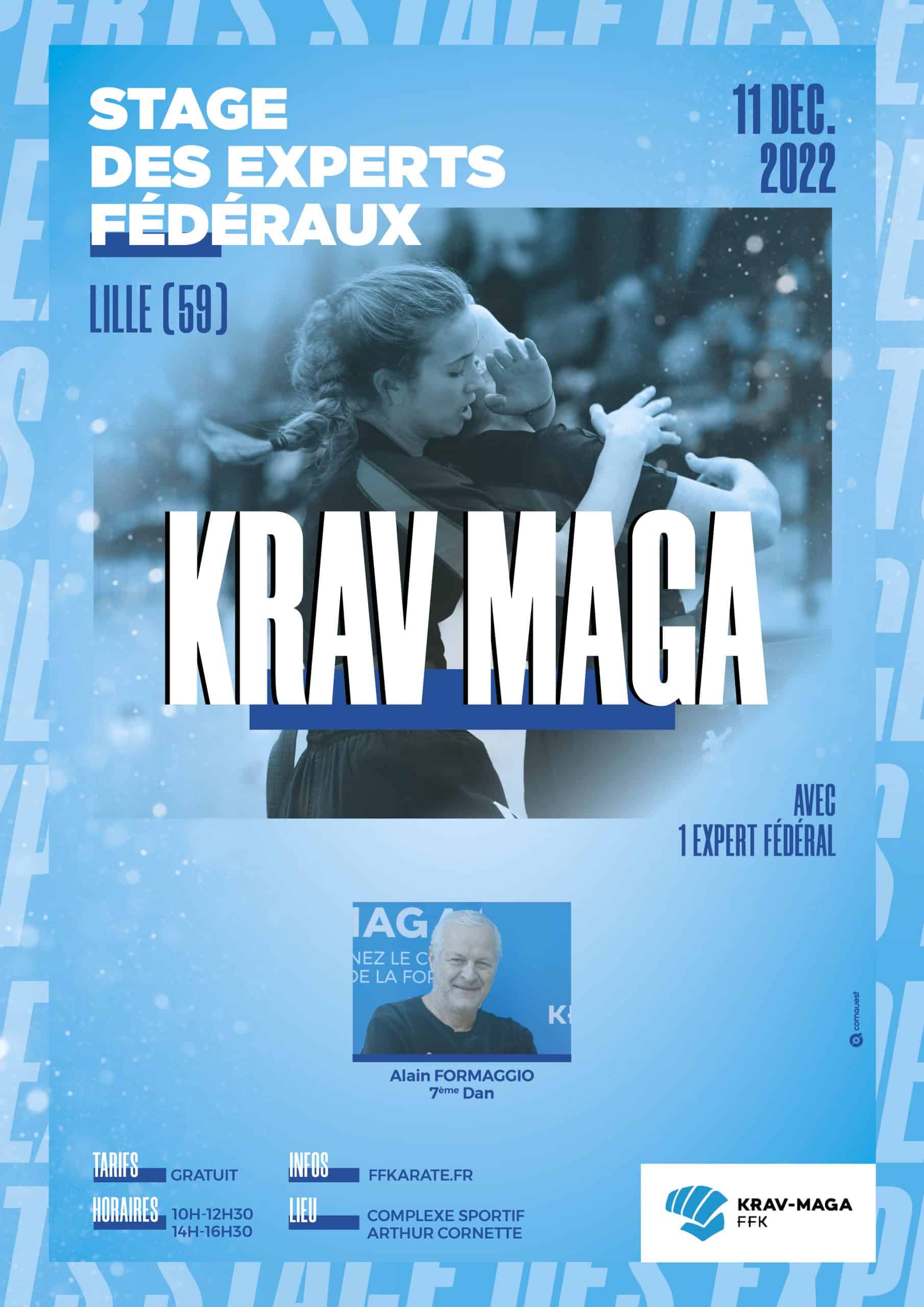 Stage Experts Fédéraux Krav Maga – Fédération Française de Karaté