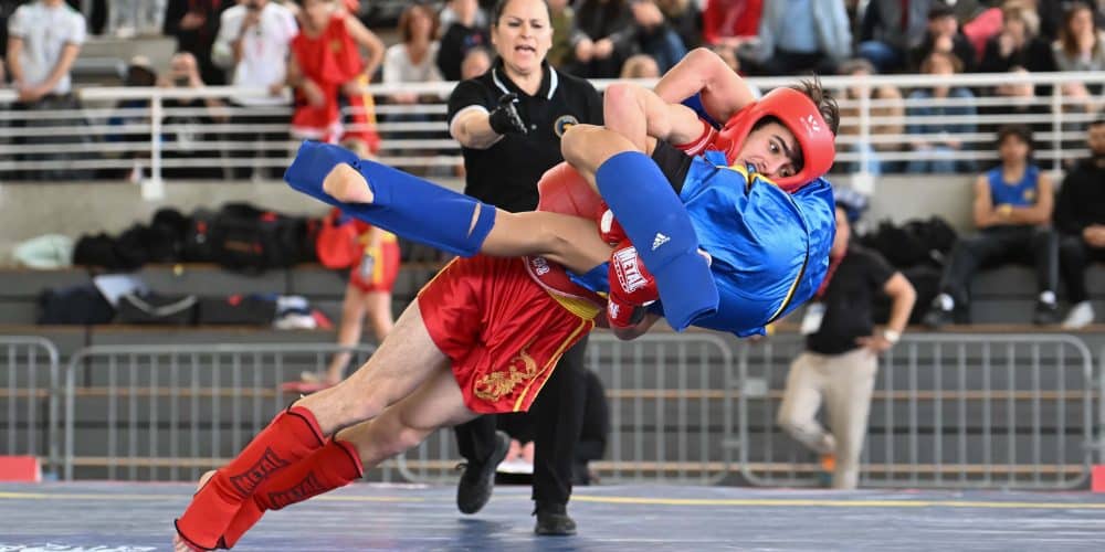 Championnat national sanda, le wushu frappe fort – Fédération Française ...